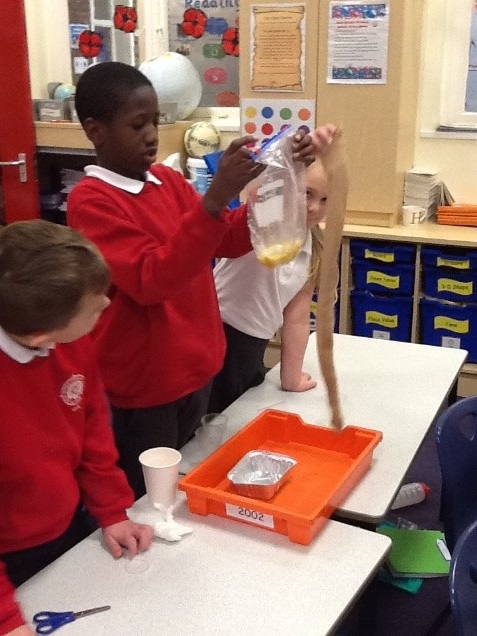 Digestion Experiment – Year 4 | Reid Street Primary School