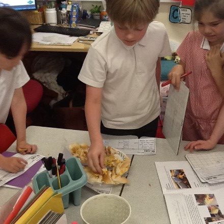 D & T – Cooking and Nutrition | Reid Street Primary School