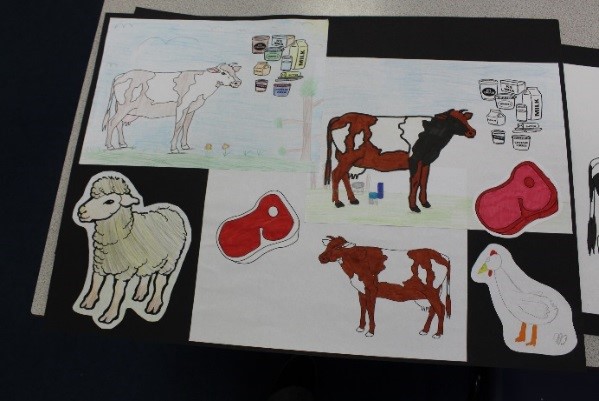 D & T – Cooking and Nutrition | Reid Street Primary School