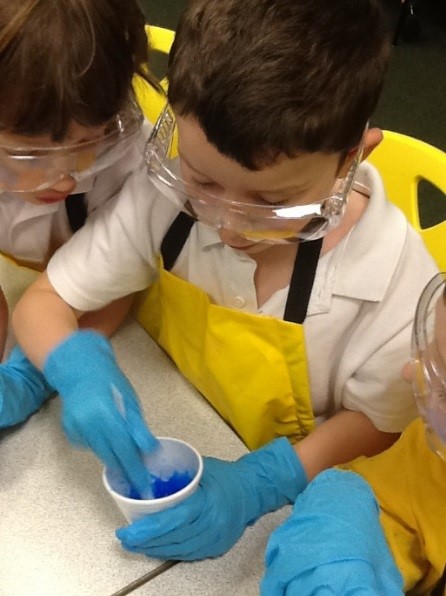 Science – Working Scientifically | Reid Street Primary School