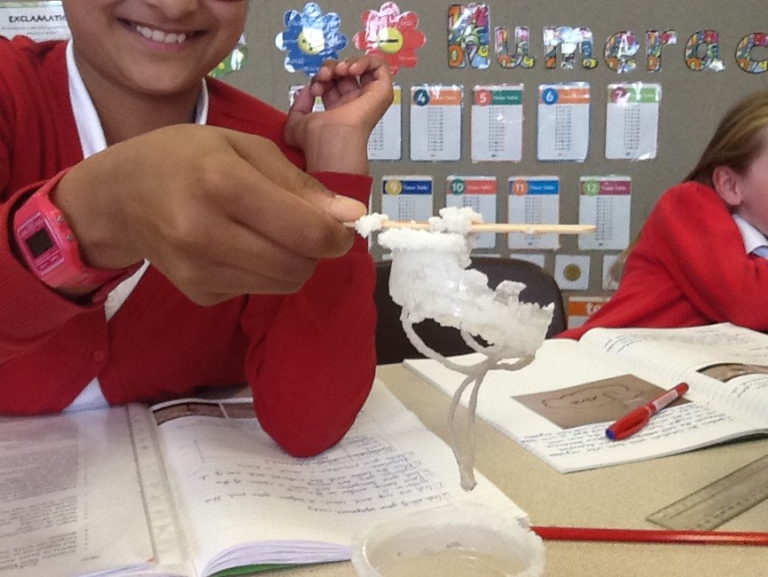 Science – Working Scientifically | Reid Street Primary School